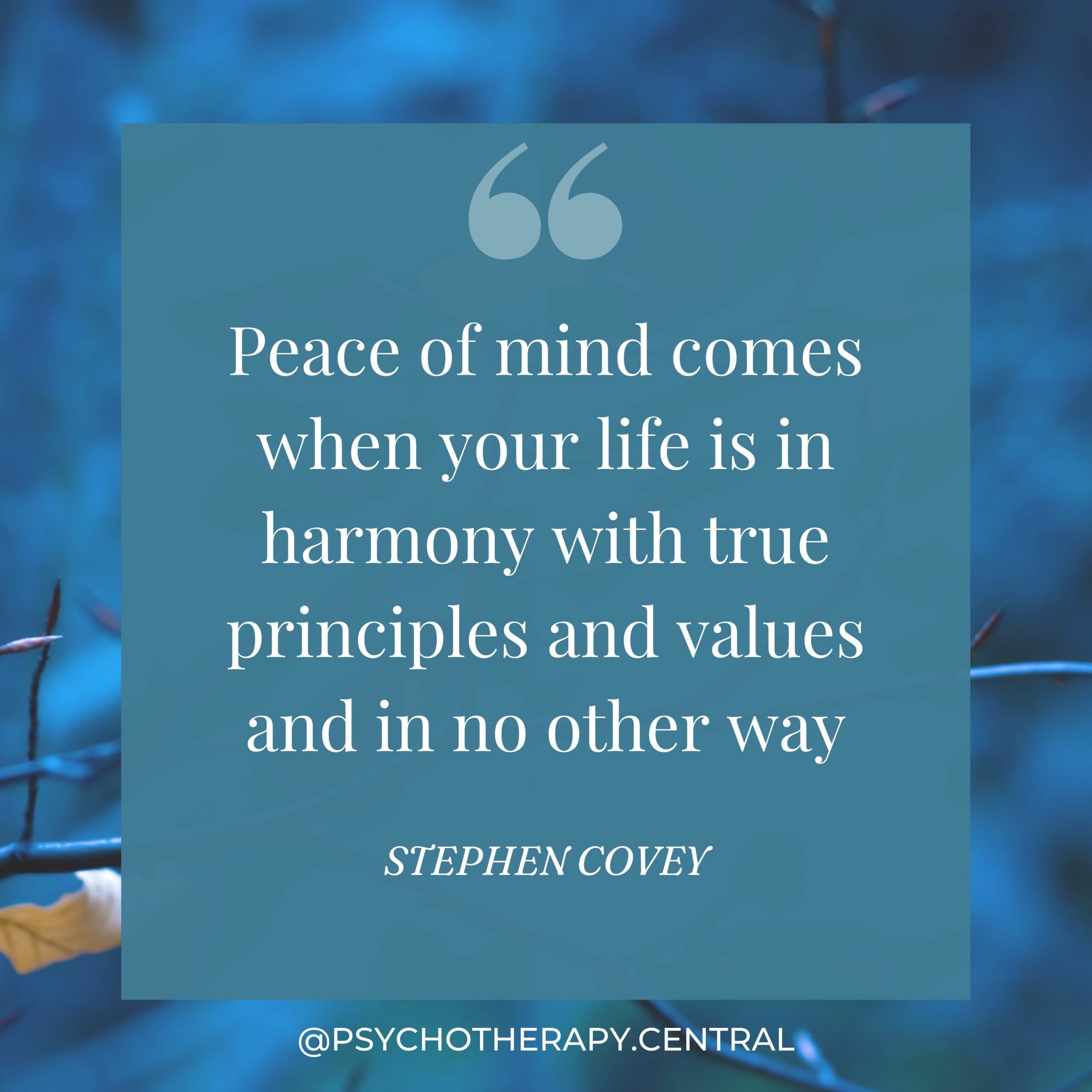 Aligning With Your Values Makes Holding Boundaries Clearer